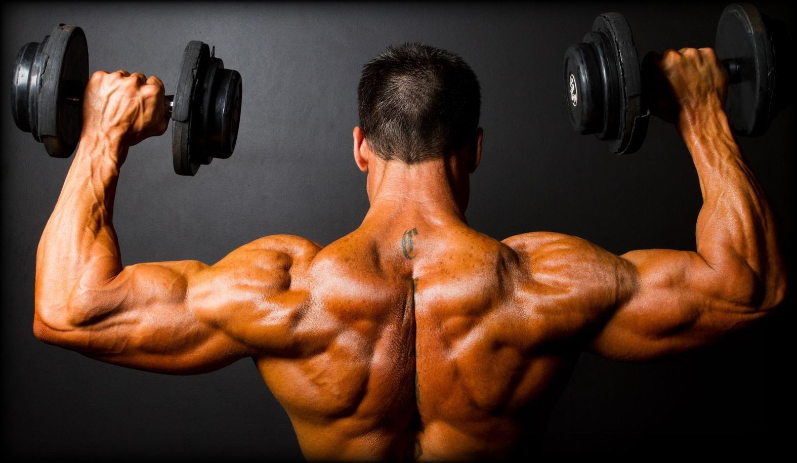 Devenir herculéen : un guide pratique pour gagner du muscle ...